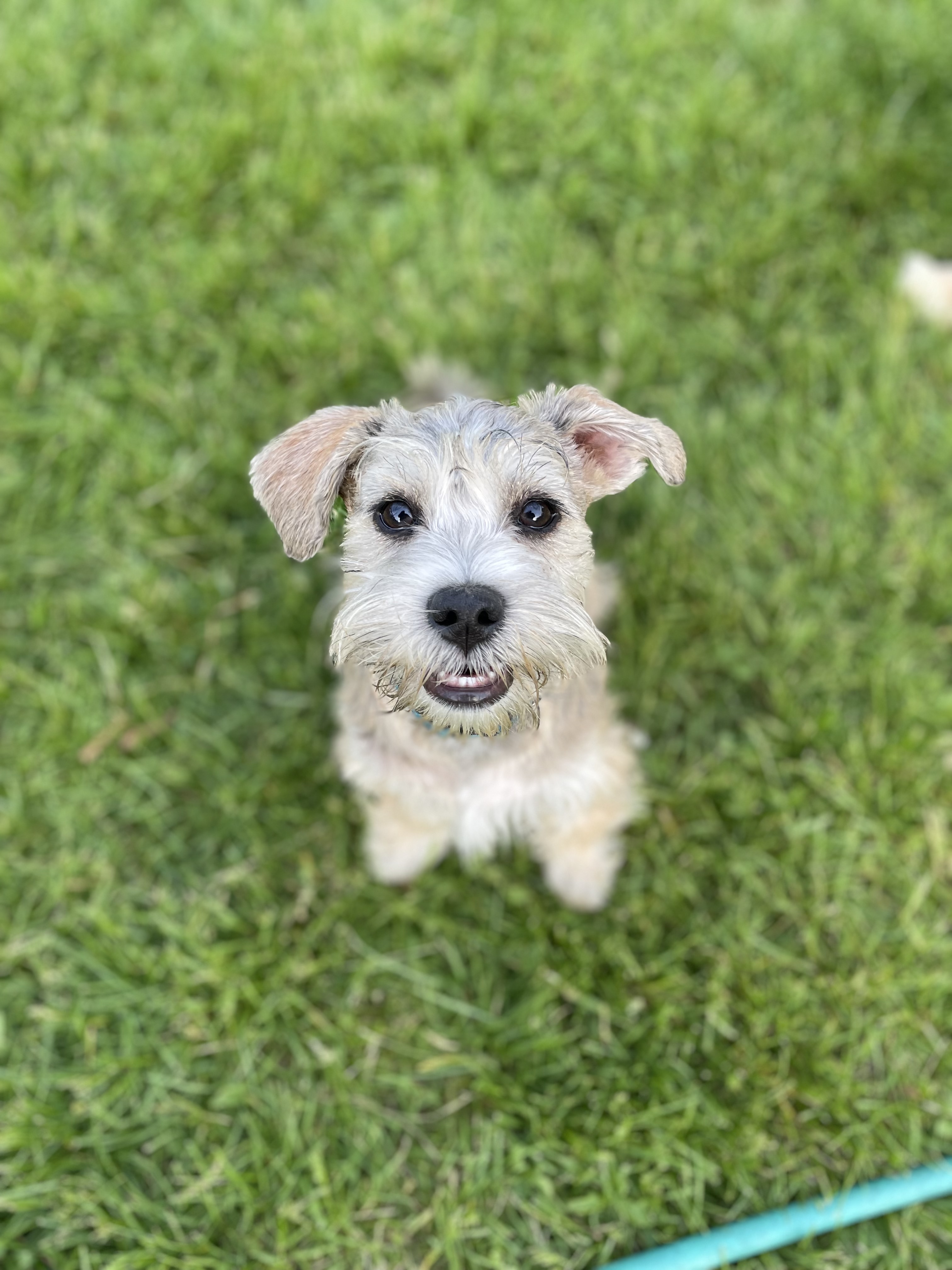 Bath to the Bone Grooming